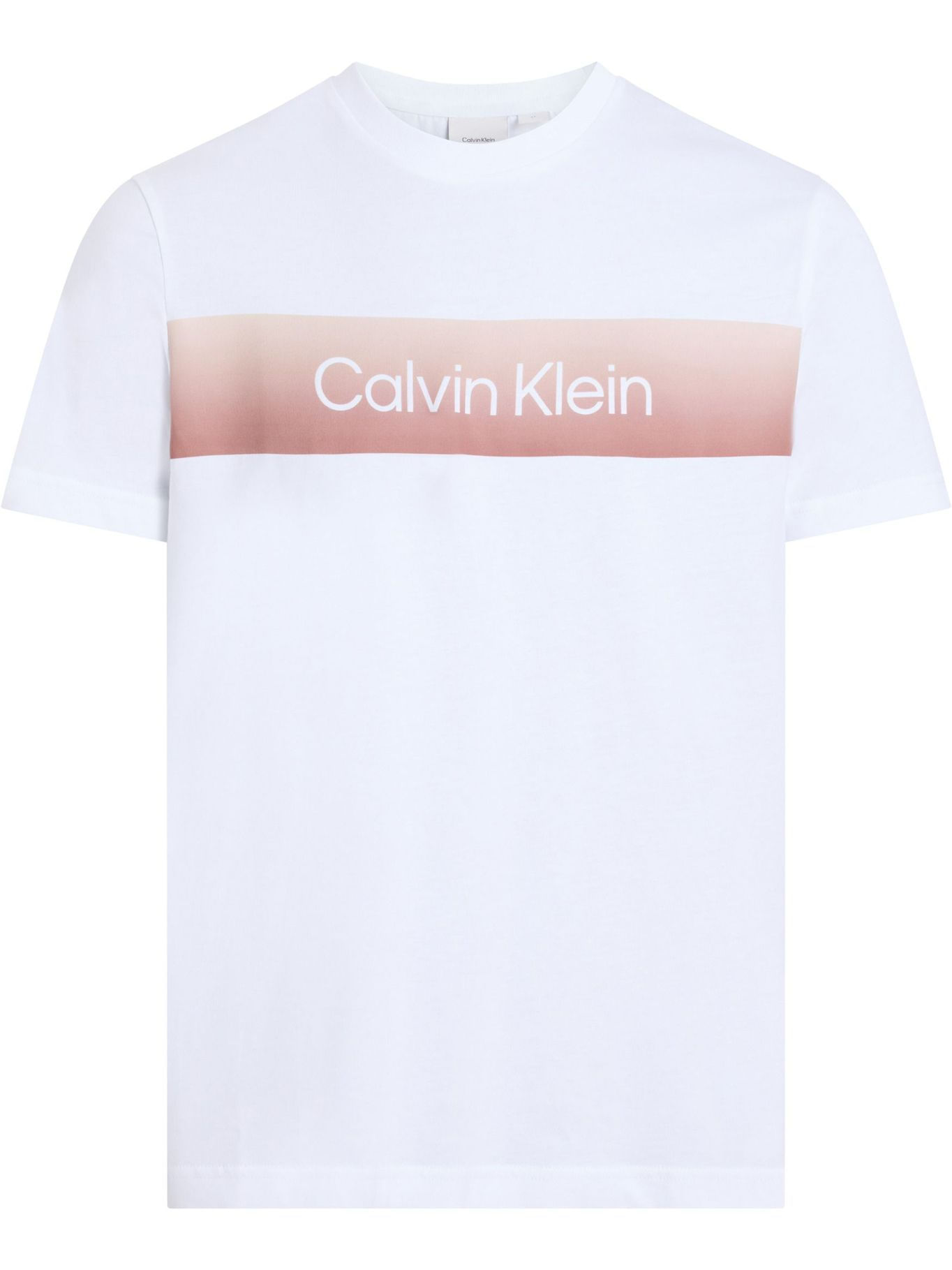 Remera linear con logo